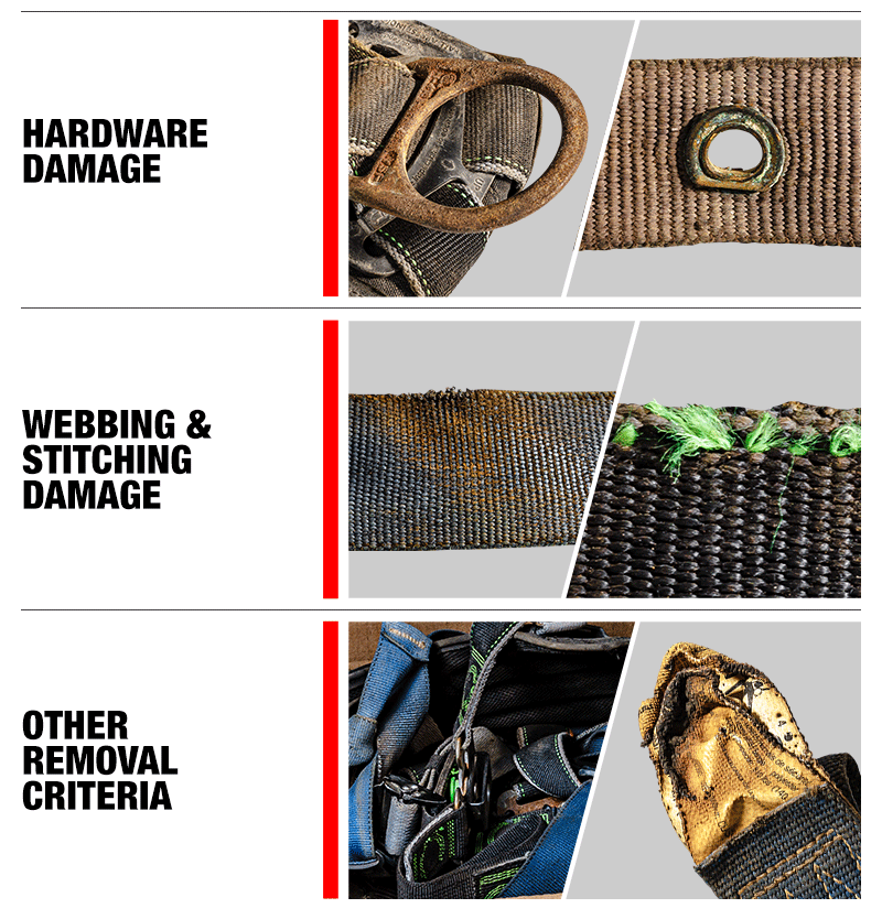 Mazzella Harness Inspection Checklist | Mazzella Companies